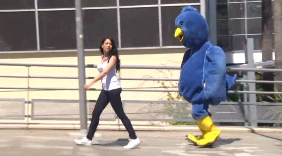 Rémi Gaillard fait du following intensif sur Twitter - Printf